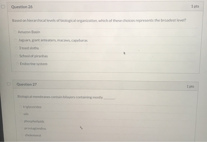 Solved Question 26 1 pts Based on hierarchical levels of | Chegg.com