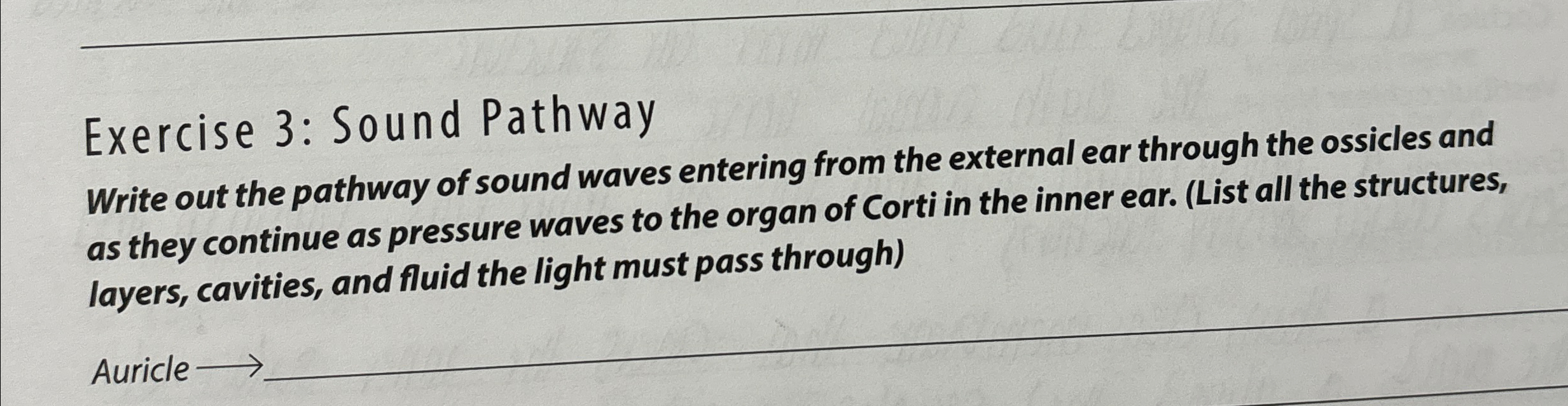 Solved Exercise 3: Sound PathwayWrite out the pathway of | Chegg.com