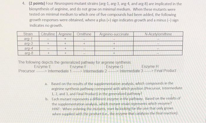 4. (2 points) Four Neurospora mutant strains (arg -1 | Chegg.com