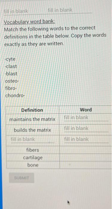 Solved fill in blank fill in blank Vocabulary word bank: | Chegg.com
