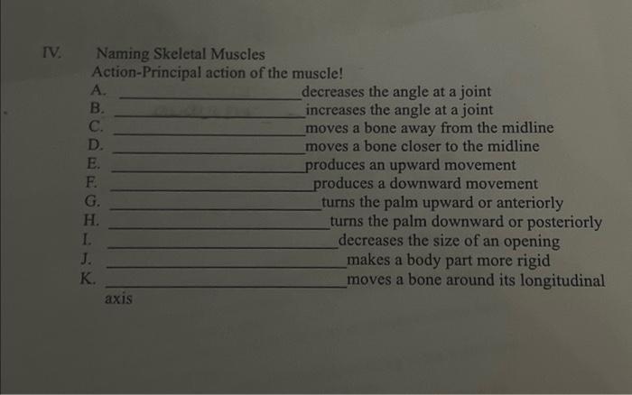 IV. Naming Skeletal Muscles Action-Principal A. B. C. | Chegg.com