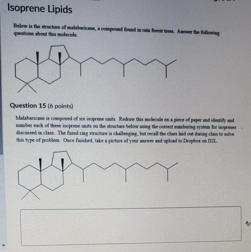 Solved Isoprene Lipids Below is the structure of | Chegg.com