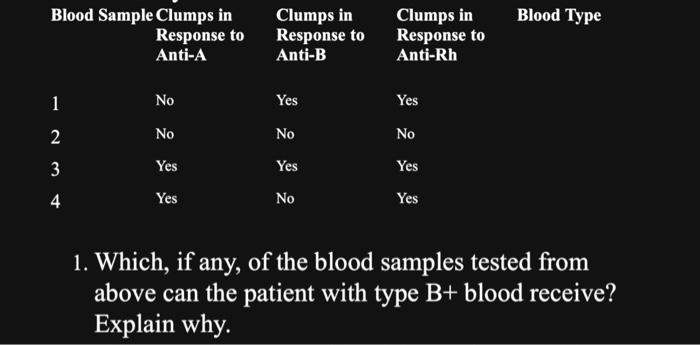 Solved Fill in the graph with the correct blood type and | Chegg.com