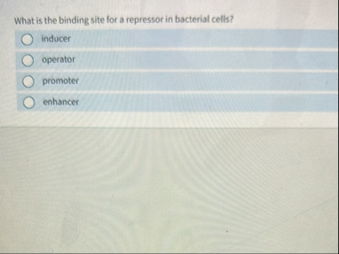 Solved What is the binding site for a repressor in bacterial | Chegg.com