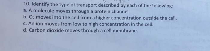 Solved 10. Identify the type of transport described by each | Chegg.com