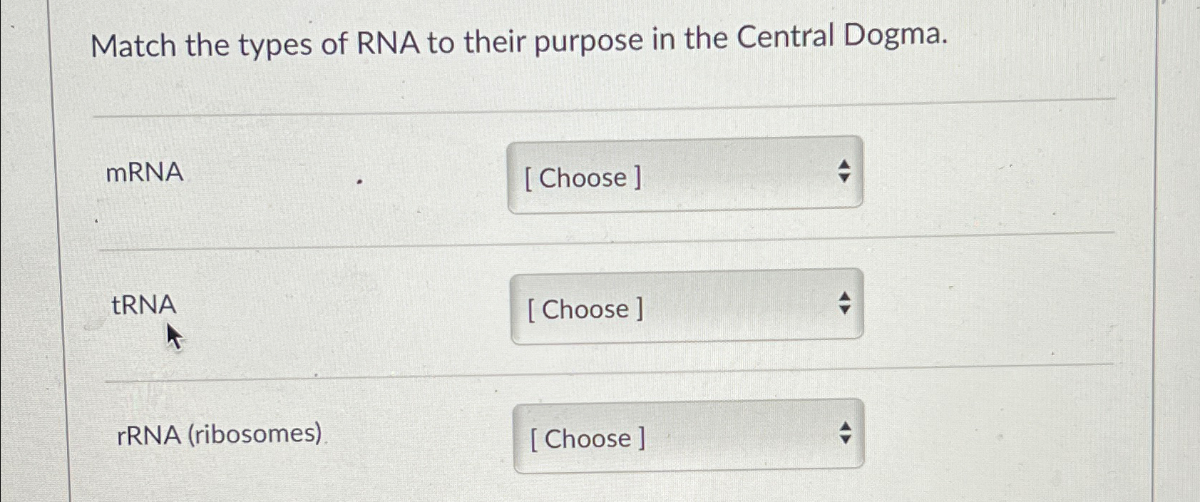 Solved Match the types of RNA to their purpose in the | Chegg.com