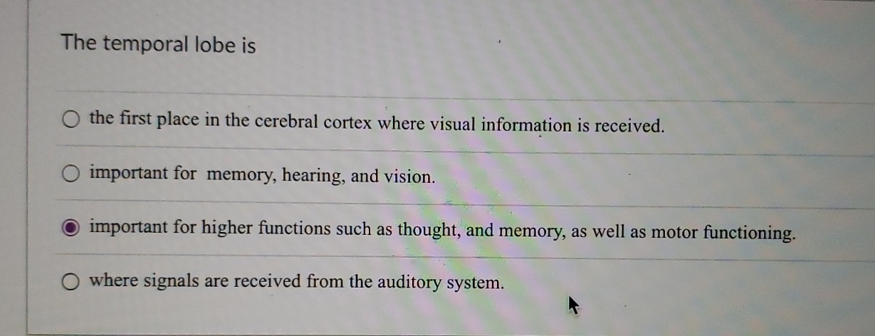 Solved The temporal lobe isthe first place in the cerebral | Chegg.com