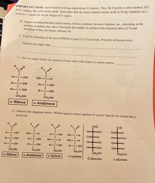 Solved IMPORTANT NOTE: most hexoses in living organism are D | Chegg.com