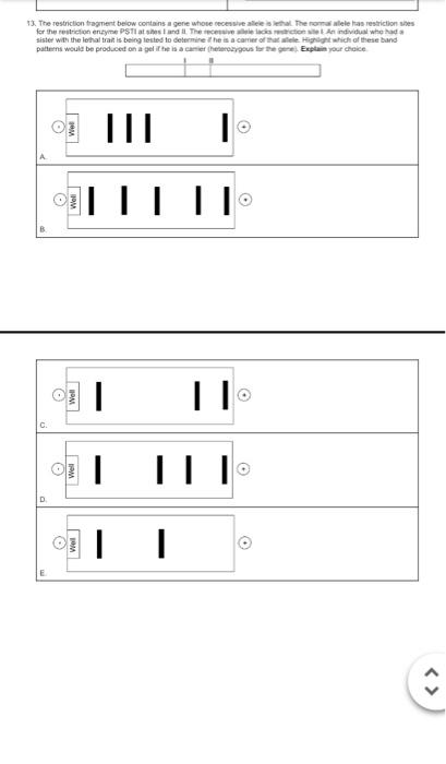 Solved AP Biology Gene Regulation and Biotechnology Review | Chegg.com