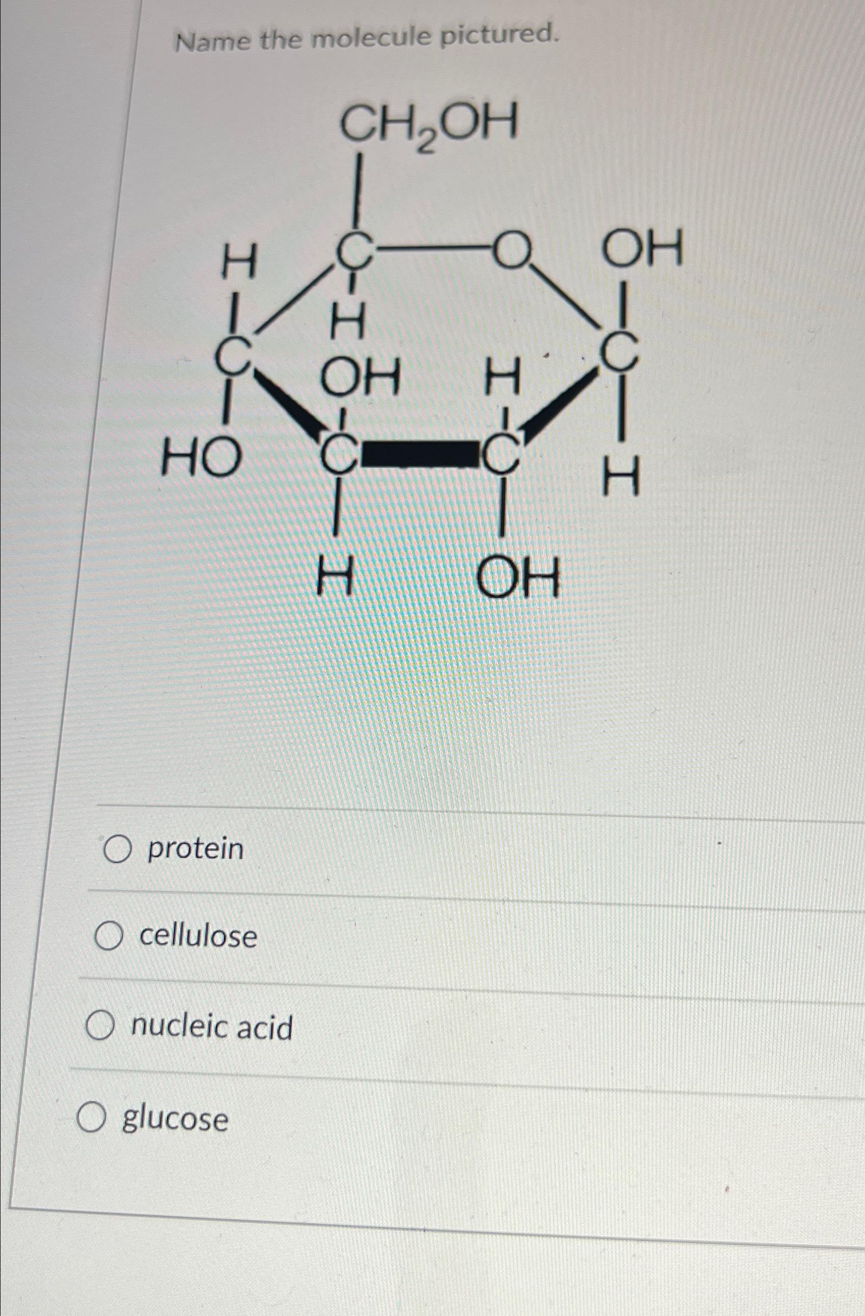 Solved Name the molecule pictured.proteincellulosenucleic | Chegg.com