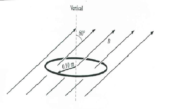 Solved A circular wire loop withradius 0.1m and resistance | Chegg.com