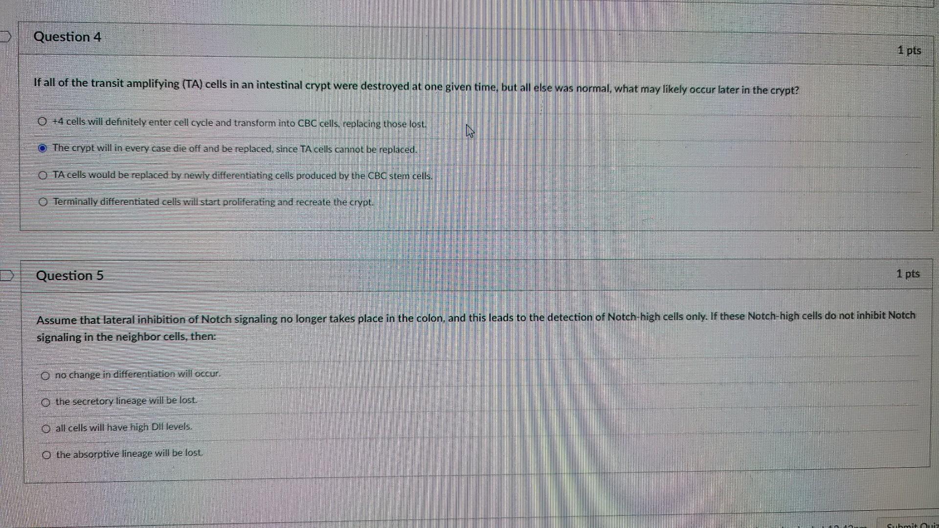 Solved If all of the transit amplifying (TA) cells in an | Chegg.com