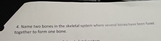 Solved Name two bones in the skeletal system where several | Chegg.com