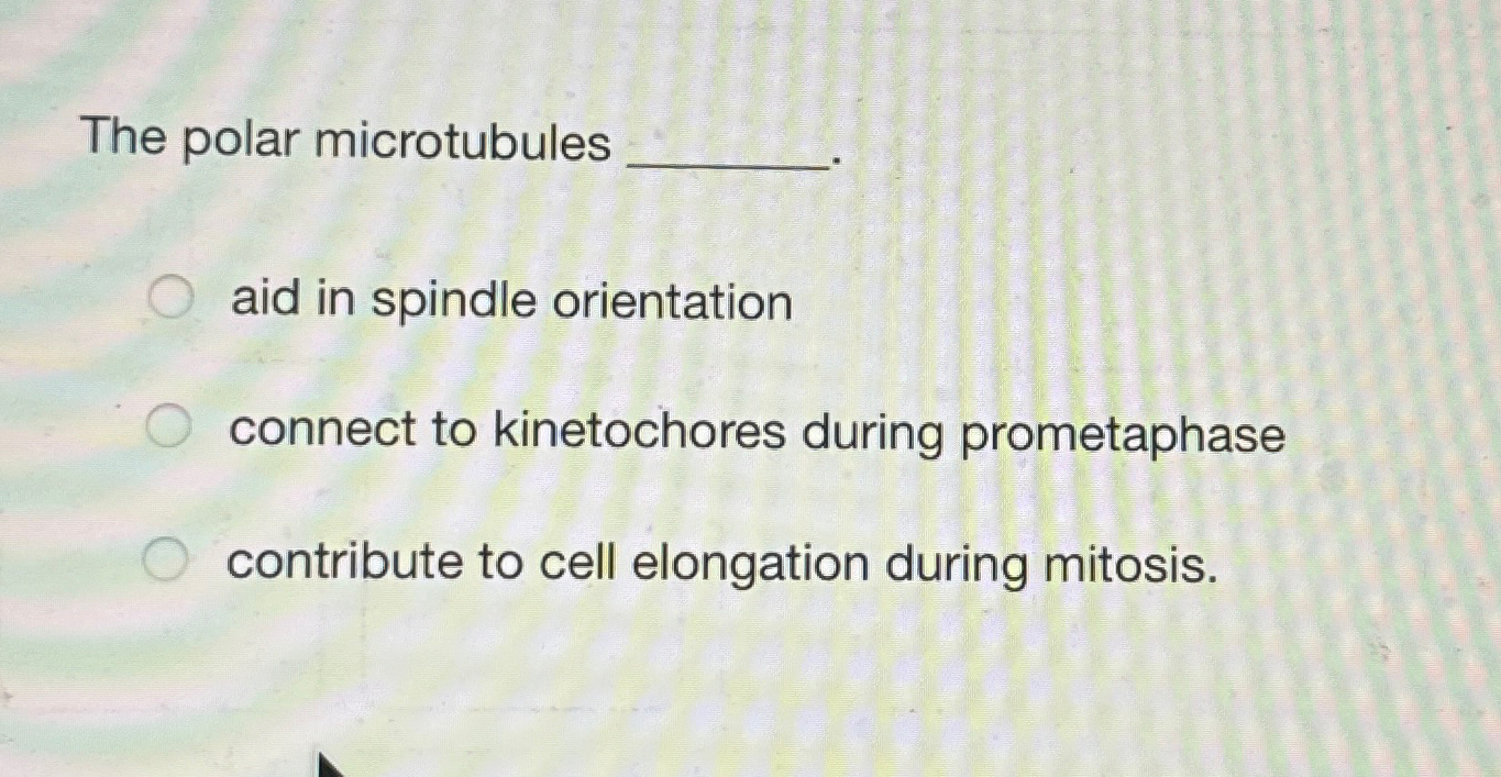 Solved The polar microtubules aid in spindle | Chegg.com