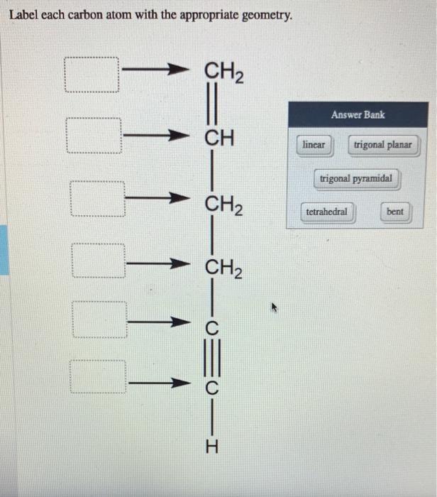 Solved Label each carbon atom with the appropriate geometry. | Chegg.com