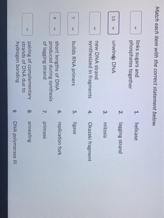 Solved Match each item with the correct statement below. | Chegg.com