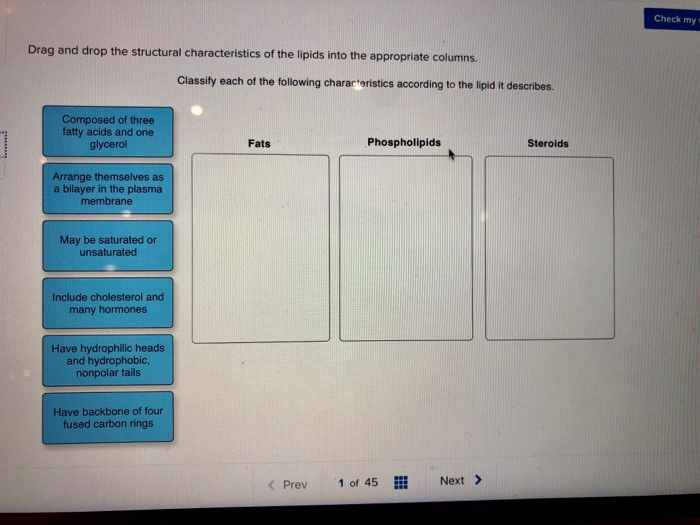 Solved Check my Drag and drop the structural characteristics | Chegg.com Solved Check my Drag and drop the structural characteristics | Chegg.com