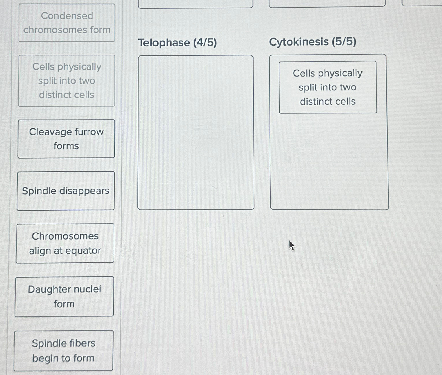 Solved Telophase (4/5)Cells physically split into two | Chegg.com