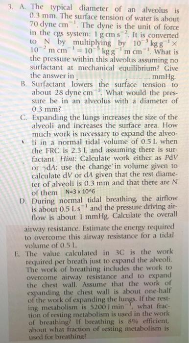 Solved 3. A. The typical diameter of an alveolus is 0.3 mm. | Chegg.com