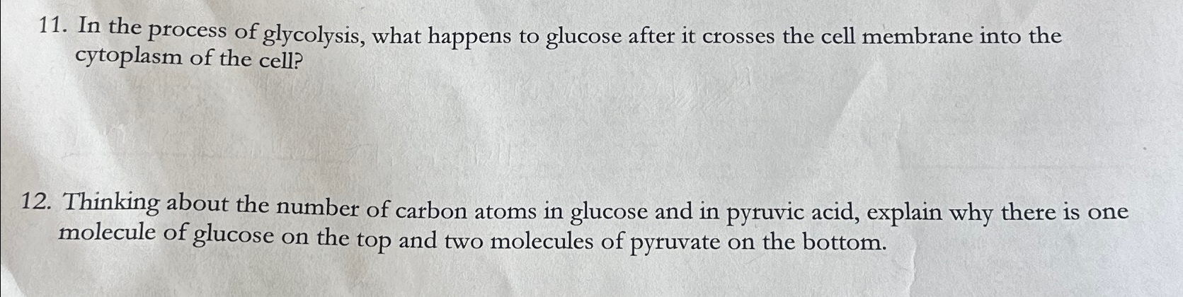 Solved In the process of glycolysis, what happens to glucose | Chegg.com