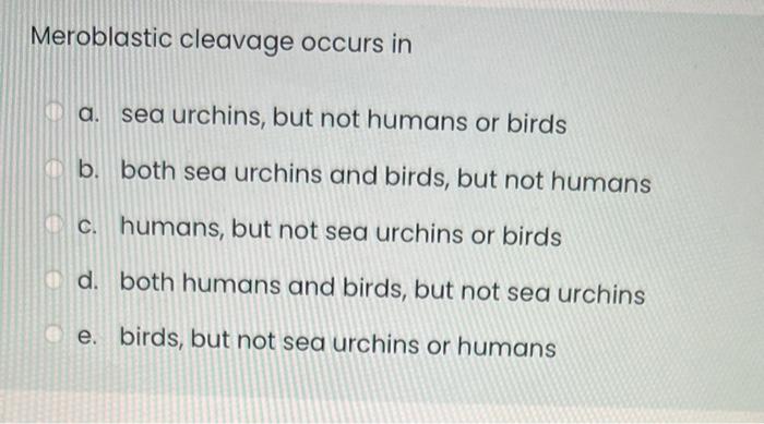 Solved Meroblastic cleavage occurs in a. sea urchins, but | Chegg.com