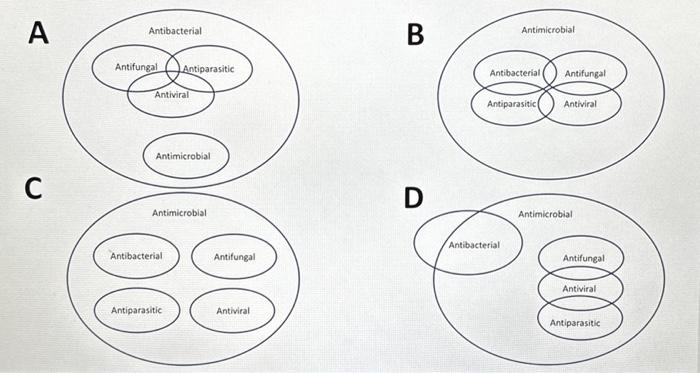 Solved Considering the classes of antibiotics listed below, | Chegg.com