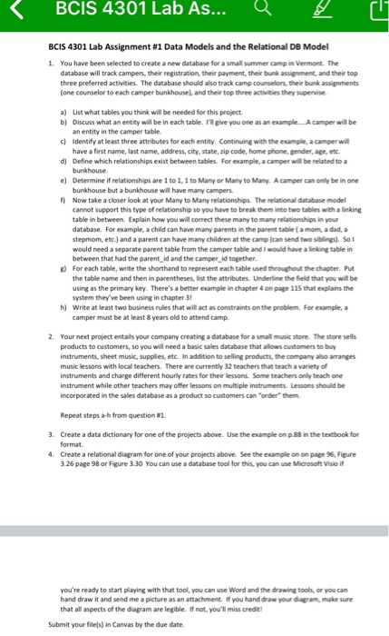 BCIS 4301 Lab As... BCIS 4301 Lab Assignment #1 Data | Chegg.com