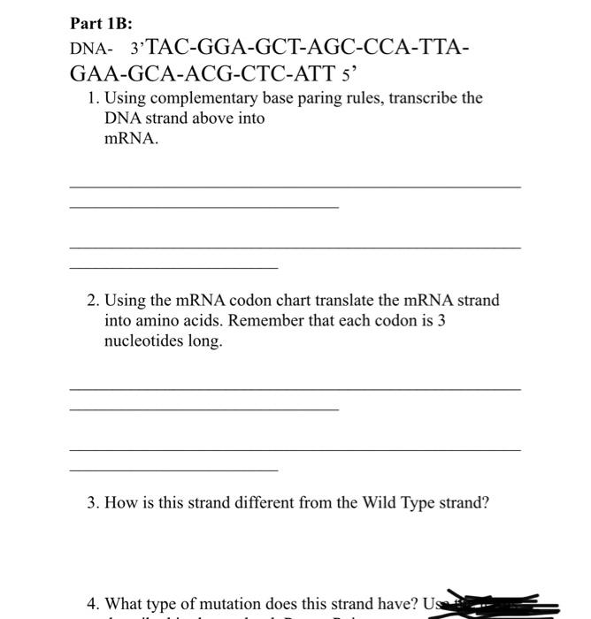Solved Part 1B: DNA- 3'TAC-GGA-GCT-AGC-CCA-TTA- | Chegg.com