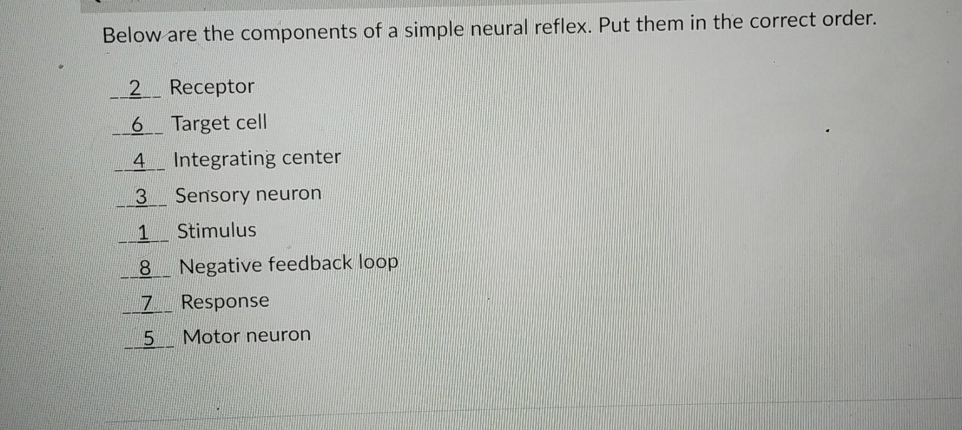 Solved Below are the components of a simple neural reflex. | Chegg.com