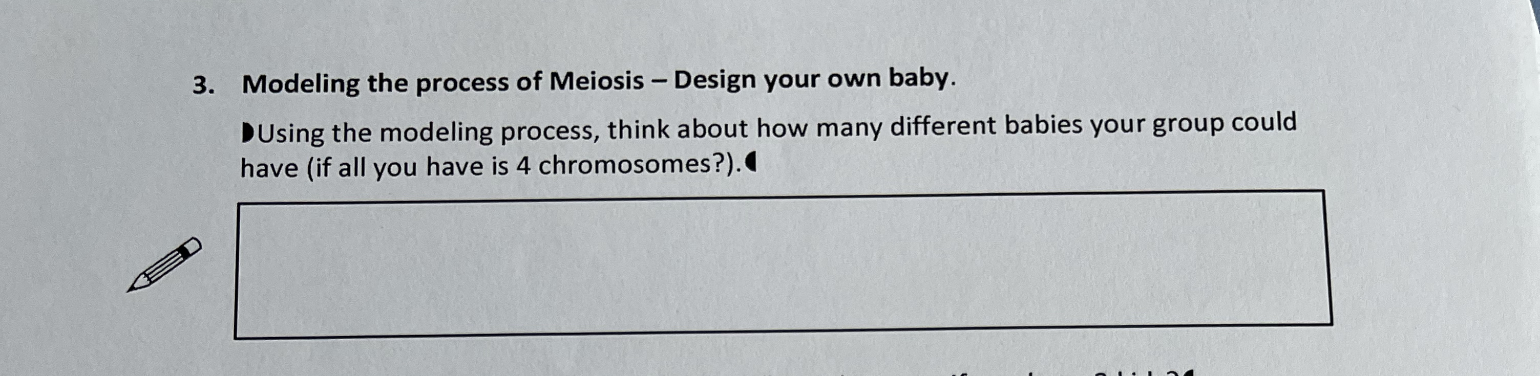 Solved Modeling the process of Meiosis - ﻿Design your own | Chegg.com