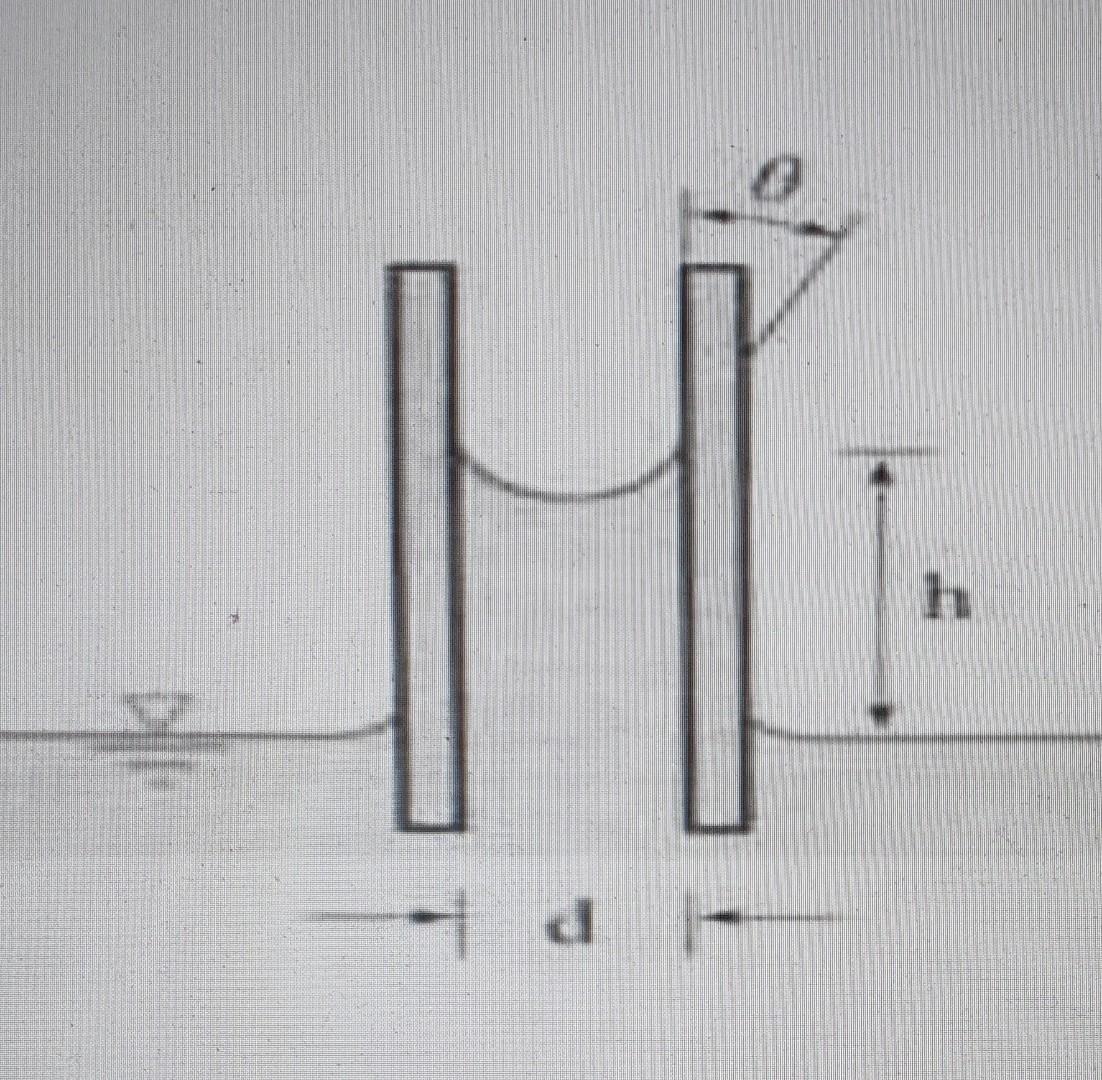 Solved Glass tube diameter: 0.5mm, contact angle: 35° Water | Chegg.com