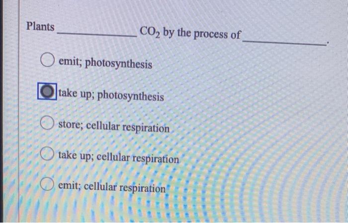 Solved Plants CO2 by the process of emit; photosynthesis | Chegg.com