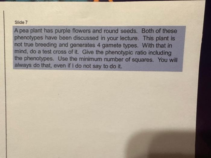 Solved Slide 7 A pea plant has purple flowers and round | Chegg.com