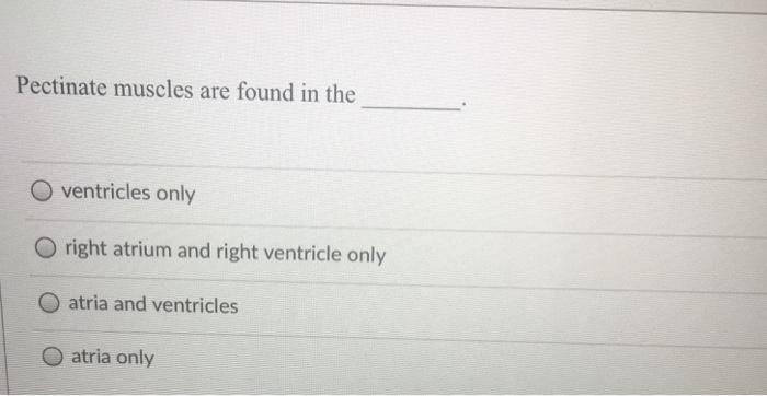 Solved Pectinate muscles are found in the O ventricles only | Chegg.com