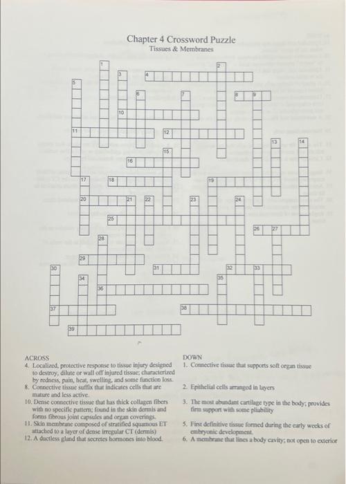 Solved Chapter 4 Crossword Puzzle ACROSS 4. Localined, | Chegg.com