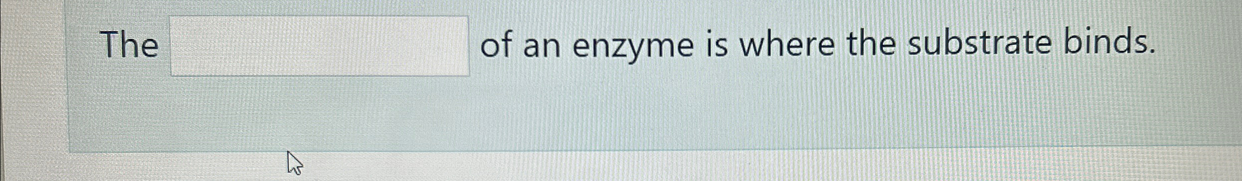 Solved Th ﻿of an enzyme is where the substrate binds. | Chegg.com