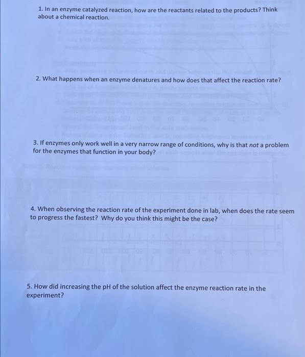 Solved 1 In An Enzyme Catalyzed Reaction How Are The