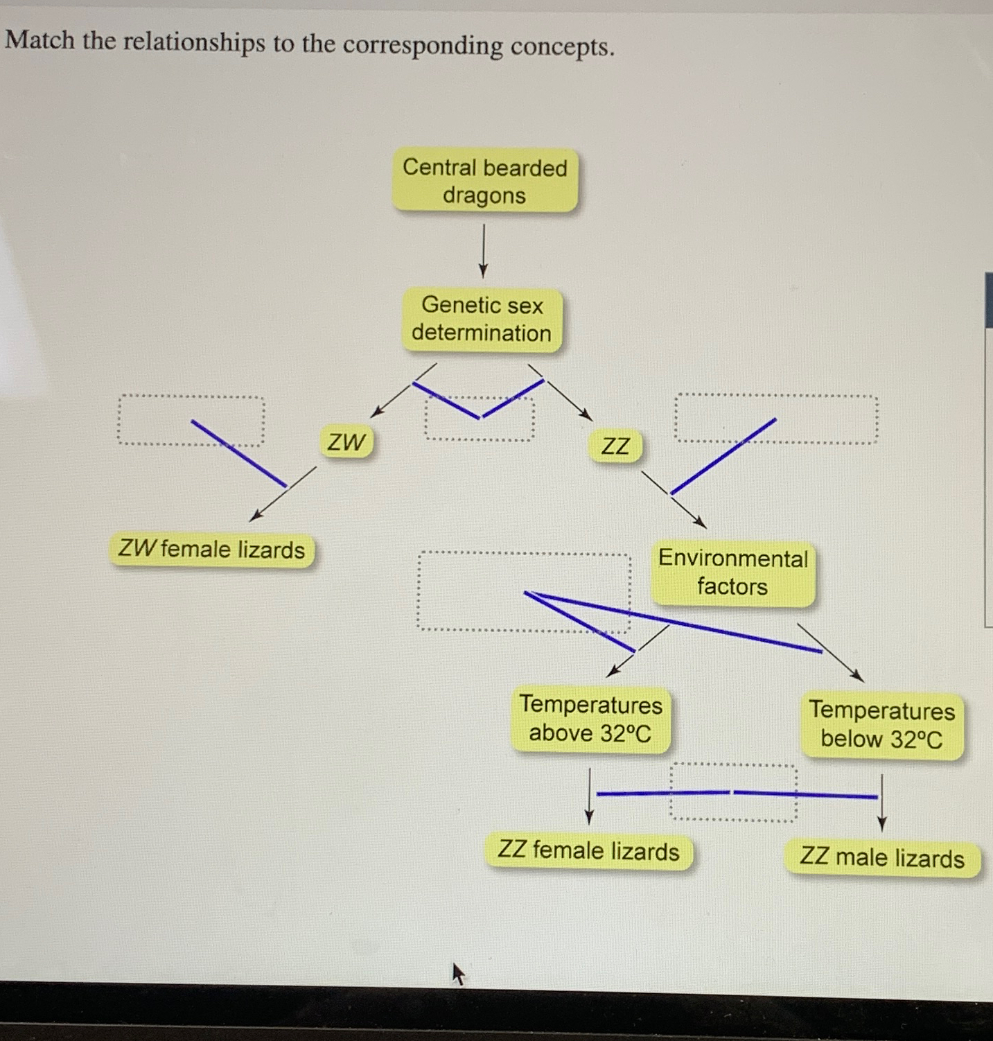 Solved Match the relationships to the corresponding | Chegg.com