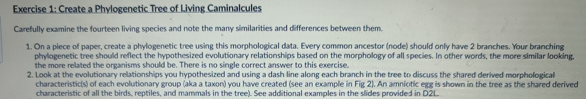Solved Exercise 1: Create a Phylogenetic Tree of Living | Chegg.com