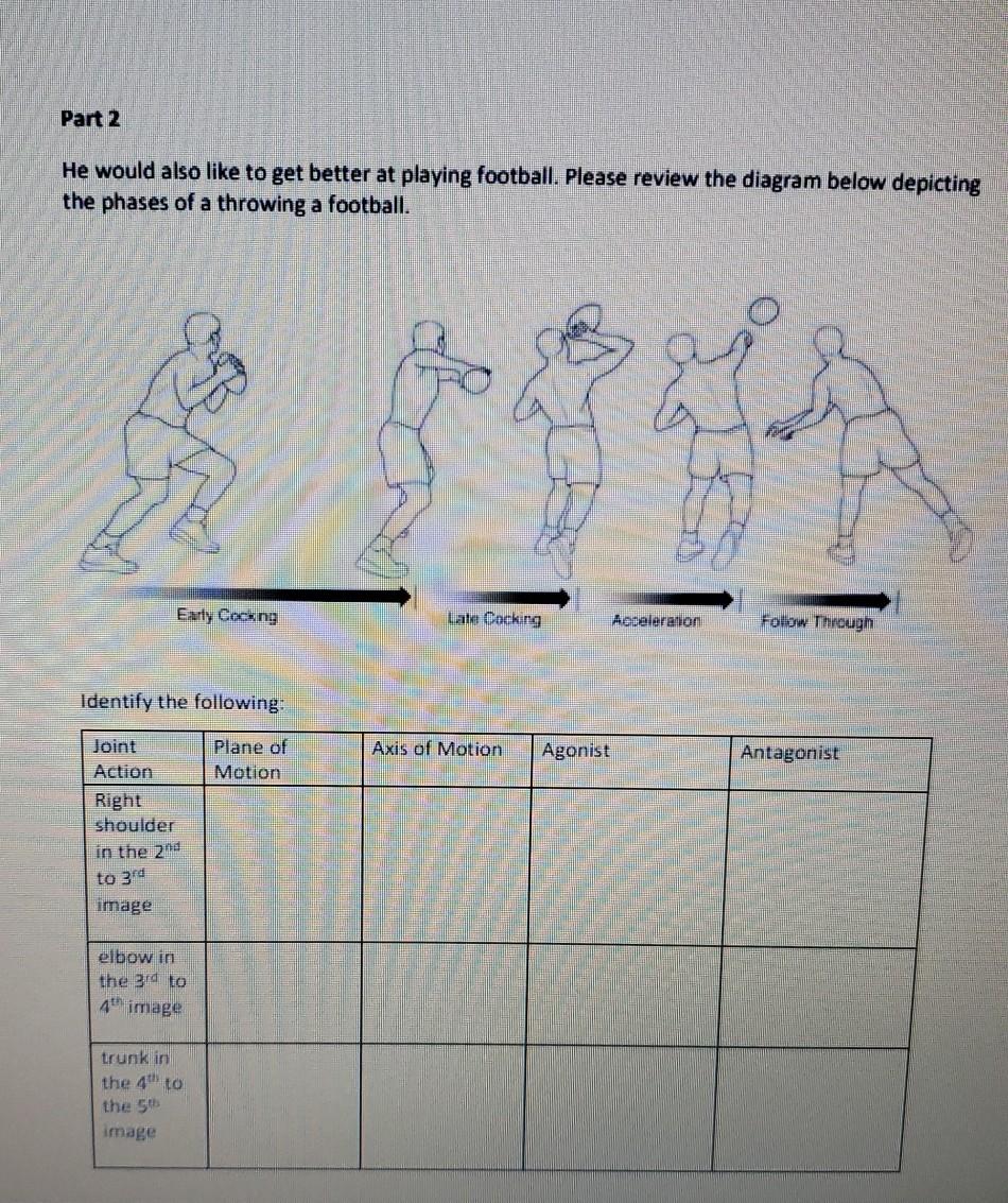 Phases Of Throwing A Football