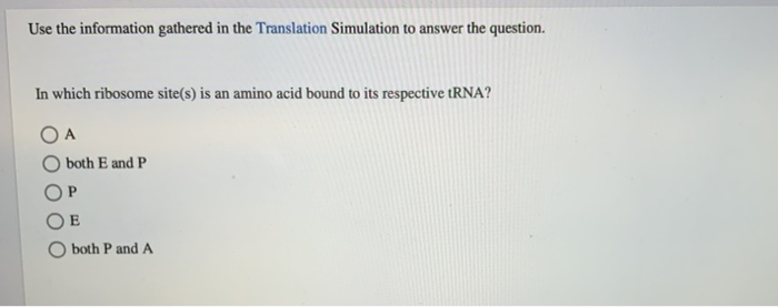 Solved Use the information gathered in the Translation | Chegg.com