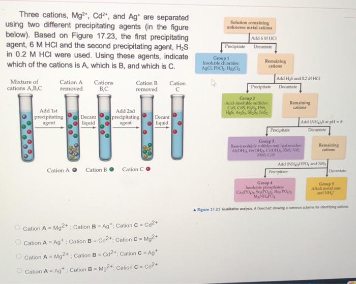 Solved Solution containing unknown metal cations Precipitate | Chegg.com