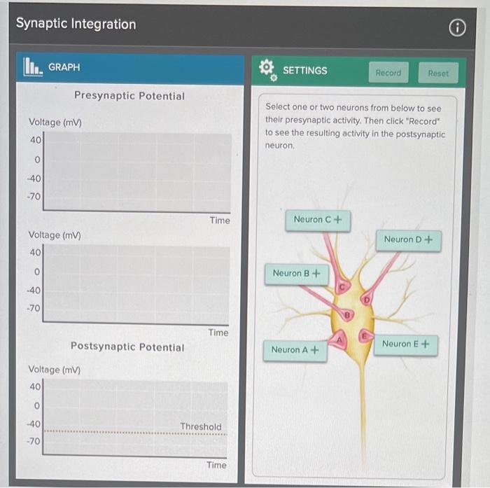 Required information Synaptic Integration Synaptic | Chegg.com