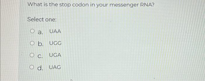 Solved What is the stop codon in your messenger RNA? Select | Chegg.com