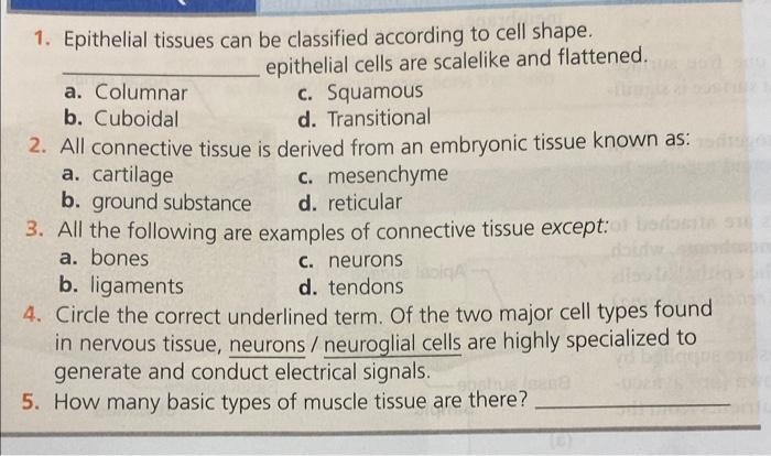 Solved 1. Epithelial tissues can be classified according to | Chegg.com