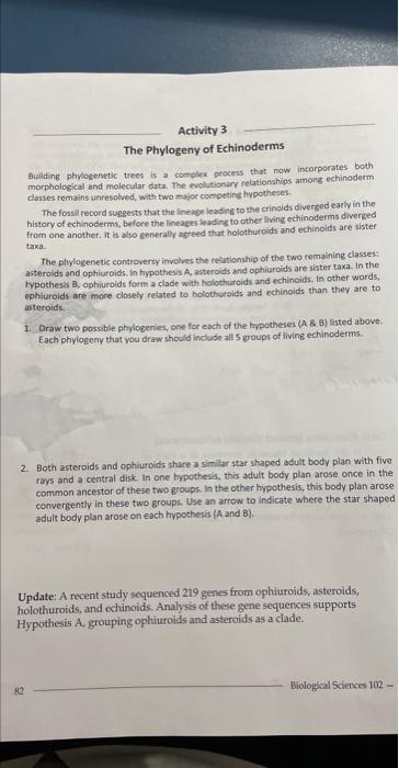 Solved The Phylogeny of Echinoderms Buldine phylogenetic | Chegg.com