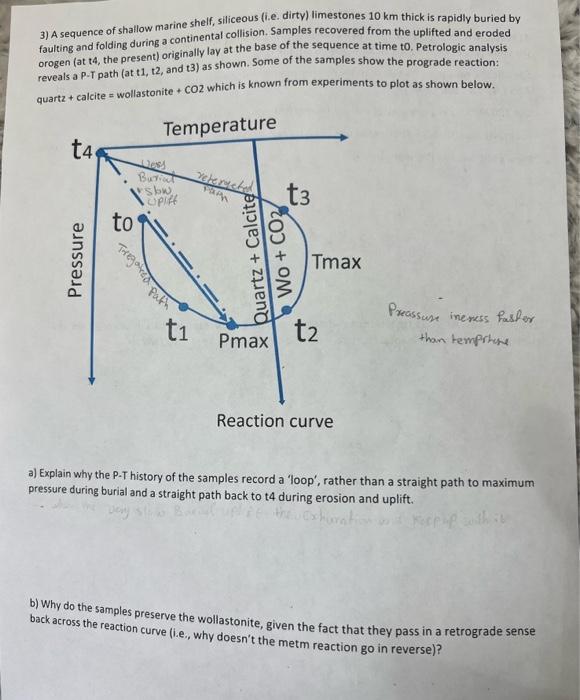 Solved 3) A sequence of shallow marine shelf, siliceous | Chegg.com