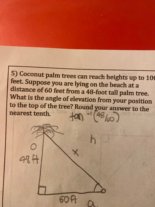Solved 5) Coconut palm trees can reach heights up to 100 | Chegg.com