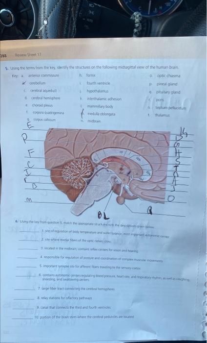 E. inutese and switovens oivters aressing ind | Chegg.com