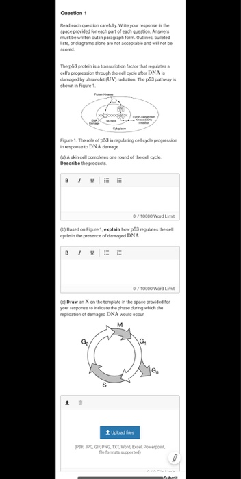 Question 1 Read each question carefully write your | Chegg.com Question 1 Read each question carefully write your | Chegg.com